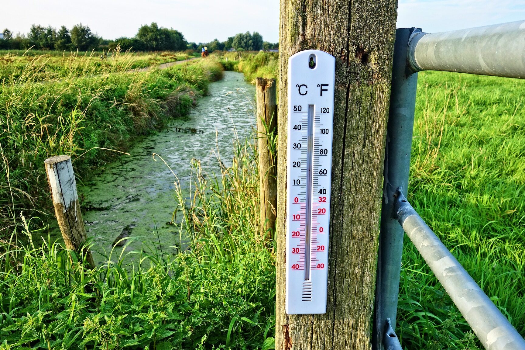 Nueve Consejos Para Mantener Tu Jardín Durante La Sequía Del Verano Nueve Consejos Para Mantener Tu Jardín Durante La Sequía Del Verano